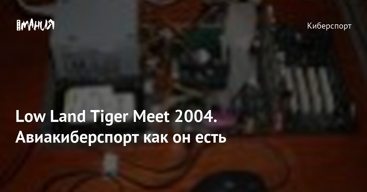 Low Land Tiger Meet 2004. Авиакиберспорт как он есть — Игромания