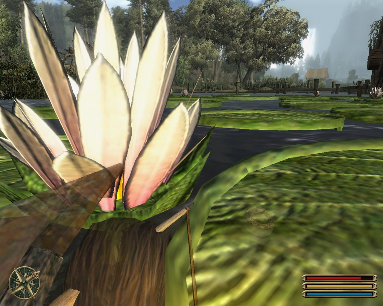 Gothic 3 - обзоры и оценки игры, даты выхода DLC, трейлеры, описание