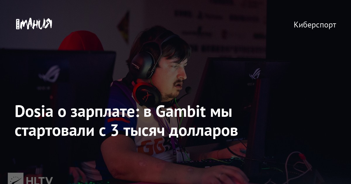 Dosia о зарплате: в Gambit мы стартовали с 3 тысяч долларов — Игромания