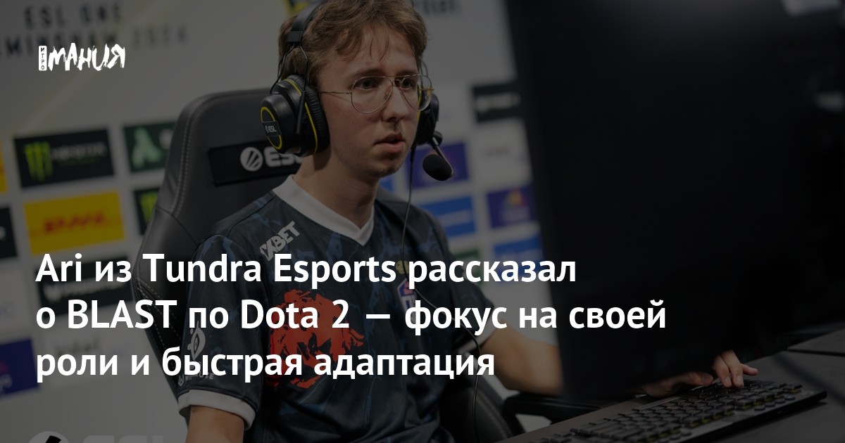 Ari объяснил, как попал в Tundra Esports по Dota 2 и адаптировался ...
